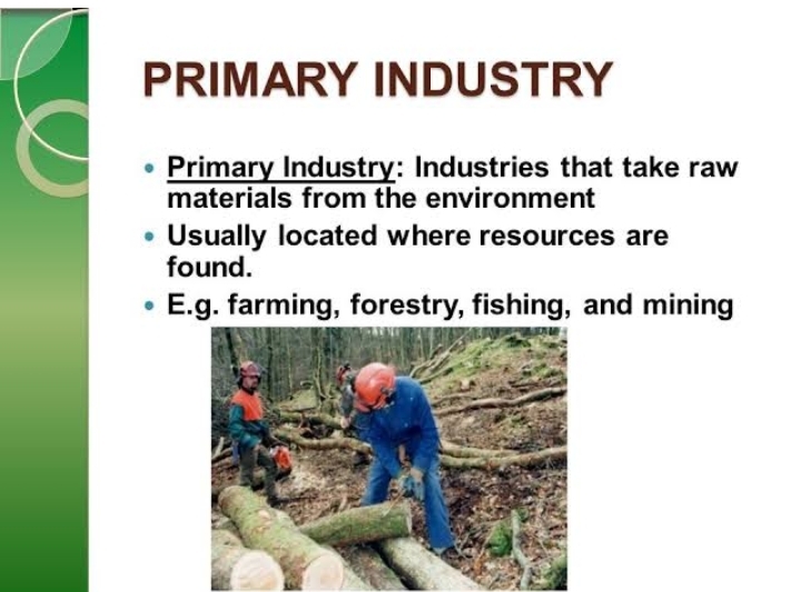 Primary Industry