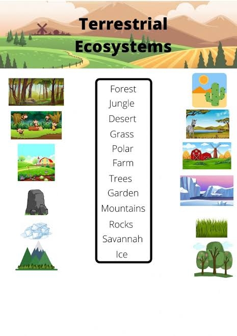 Types Of Terrestrial Ecosystems Terretrial Ecosystem.pdf