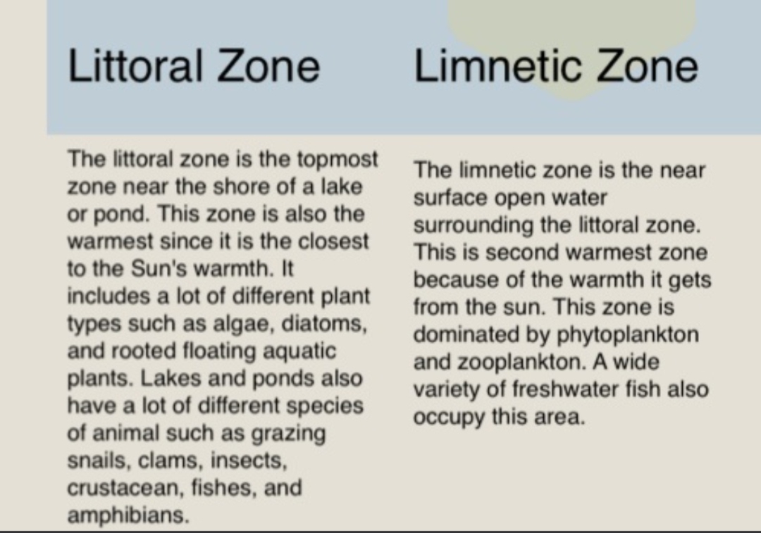 Freshwater Littoral Zone Animals