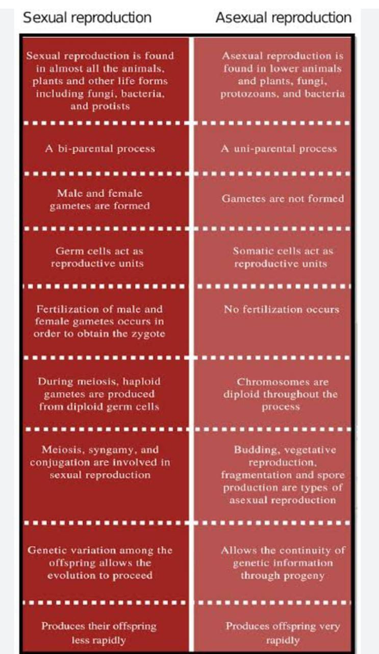 Asexual Vs Sexual Reproduction Difference Between Sexual & Asexual