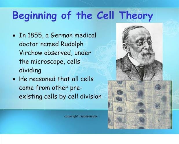 Rudolf Virchow Celtheorie