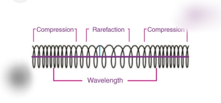 Parts Of A Longitudinal Wave Longitudinal And Transverse Waves